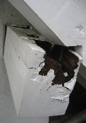 Sallmann Holzschutz GmbH - Zimmererarbeiten - Austausch eines Pfettenkopfes